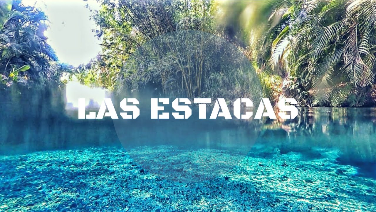 Las Estacas Morelos México 🇲🇽 sumérgete en un mundo increíble # ...