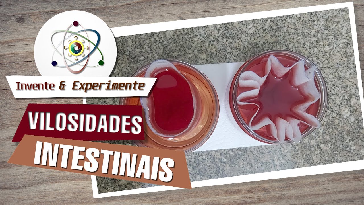 Função das vilosidades intestinais - YouTube