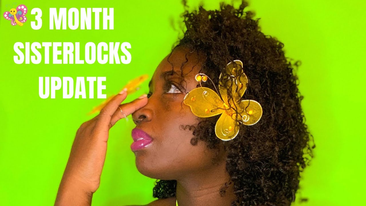 3 Month Sisterlocks Update: Slippage, Dryness, Budding & New Wash ...