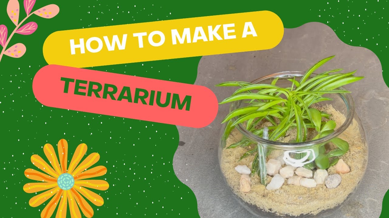 BEGINNERS this is for you- Learn to make a SIMPLE Terrarium in only 4 ...