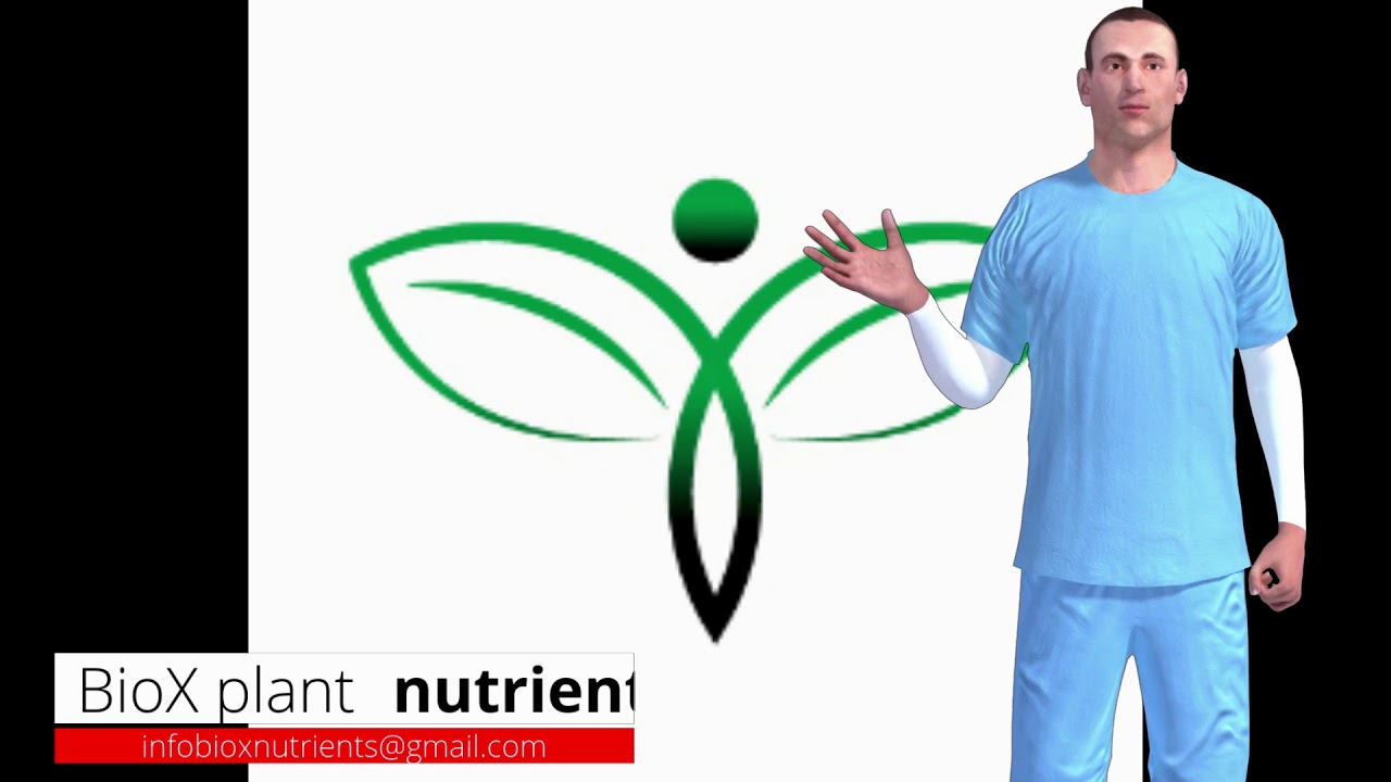 BioX briefing of environmental climate part 2 - YouTube