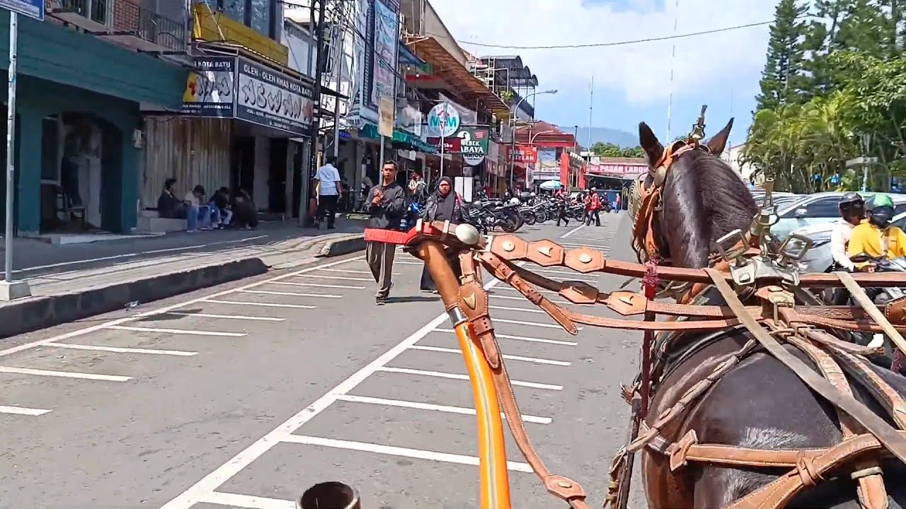 Naik Dokar Gratis dari Dinas Pariwisata Kota di Alun-Alun Kota Batu ...