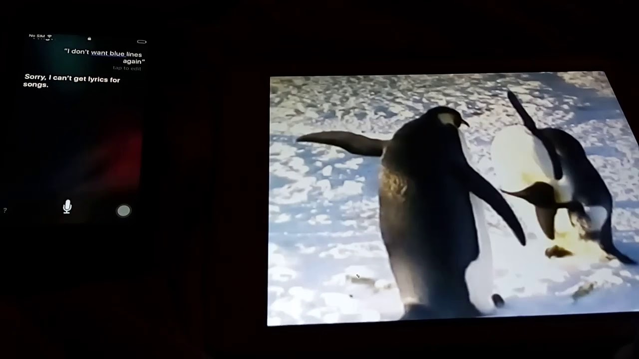 Quick do something funny penguin honking advert with blue lines on the ...
