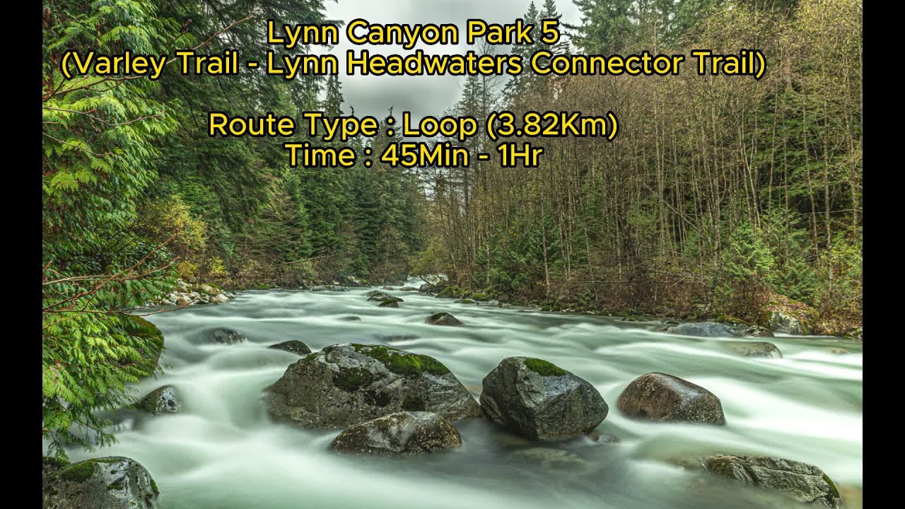 Lynn Canyon Park Trail Guide (Varley Trail - Lynn Headwaters Connector ...