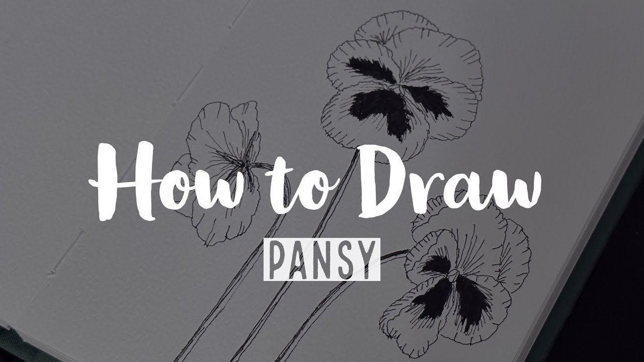 How to Draw Easy And Aesthetic Flowers | Jaima Shahira - YouTube