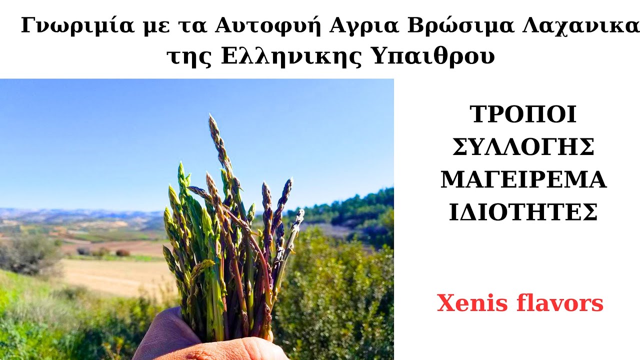 ΑΥΤΟΦΥΗ ΧΟΡΤΑ ΥΠΑΙΘΡΟΥ! Γνωριμία με τα Αγρια Βρώσιμα Είδη!Xenis flavors ...