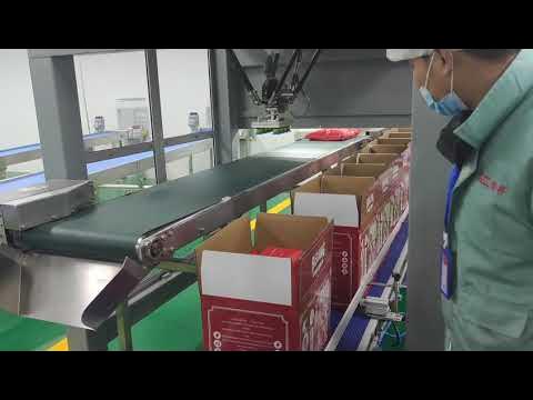 Efficient case packing line - Soontrue - YouTube