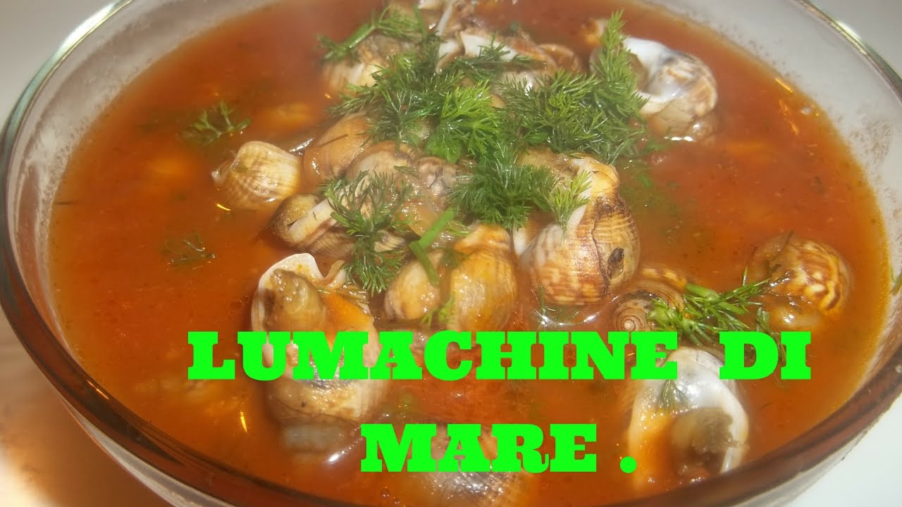 21-RICETTA FACILE: LUMACHINE di mare con FINOCCHIETTO selvatico. - YouTube
