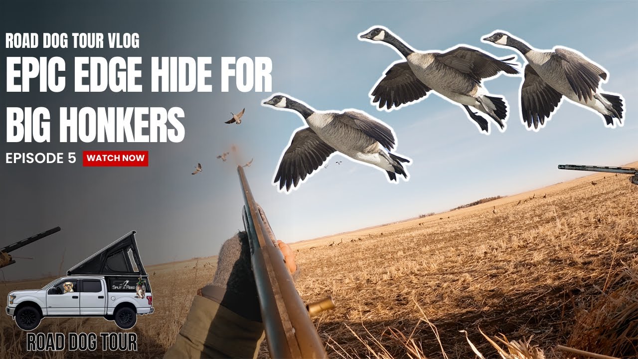 EPIC Edge Hide for BIG HONKERS | Road Dog Tour Ep.5 - YouTube