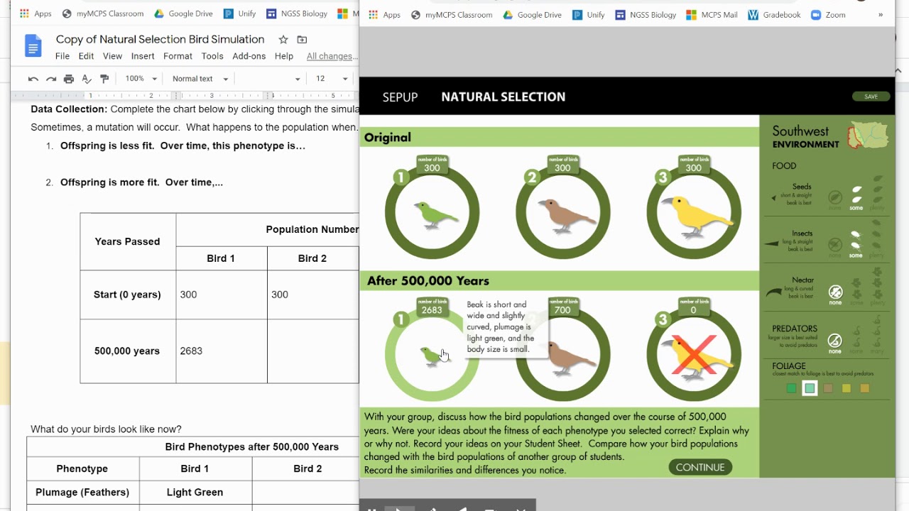 Natural Selection Simulation Part 2 YouTube natural-selection-simulation-part-2-youtube