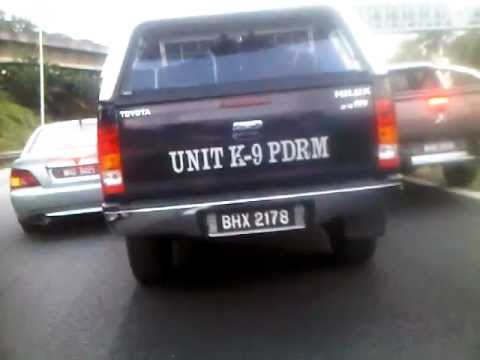 Special Force Police | PDRM | K-9 Unit PDRM - YouTube