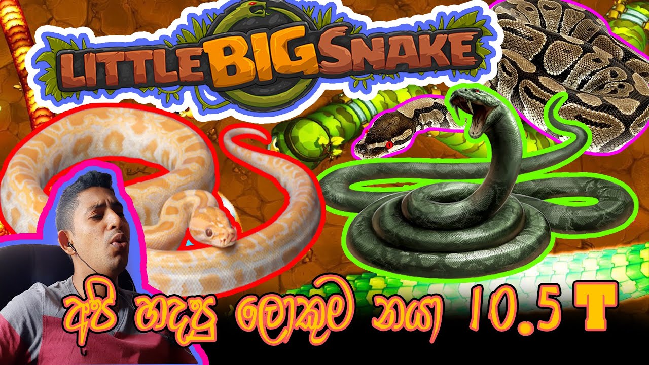 Little Big Snake Walkthrough Gameplay with AGIOP | New Record in Little ...