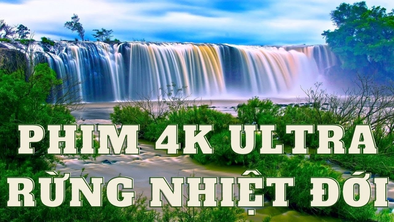 Test Màn Hình 4K Ultra HD I Phim 4K Rừng Nhiệt Đới I Tin Học Trần Phú ...