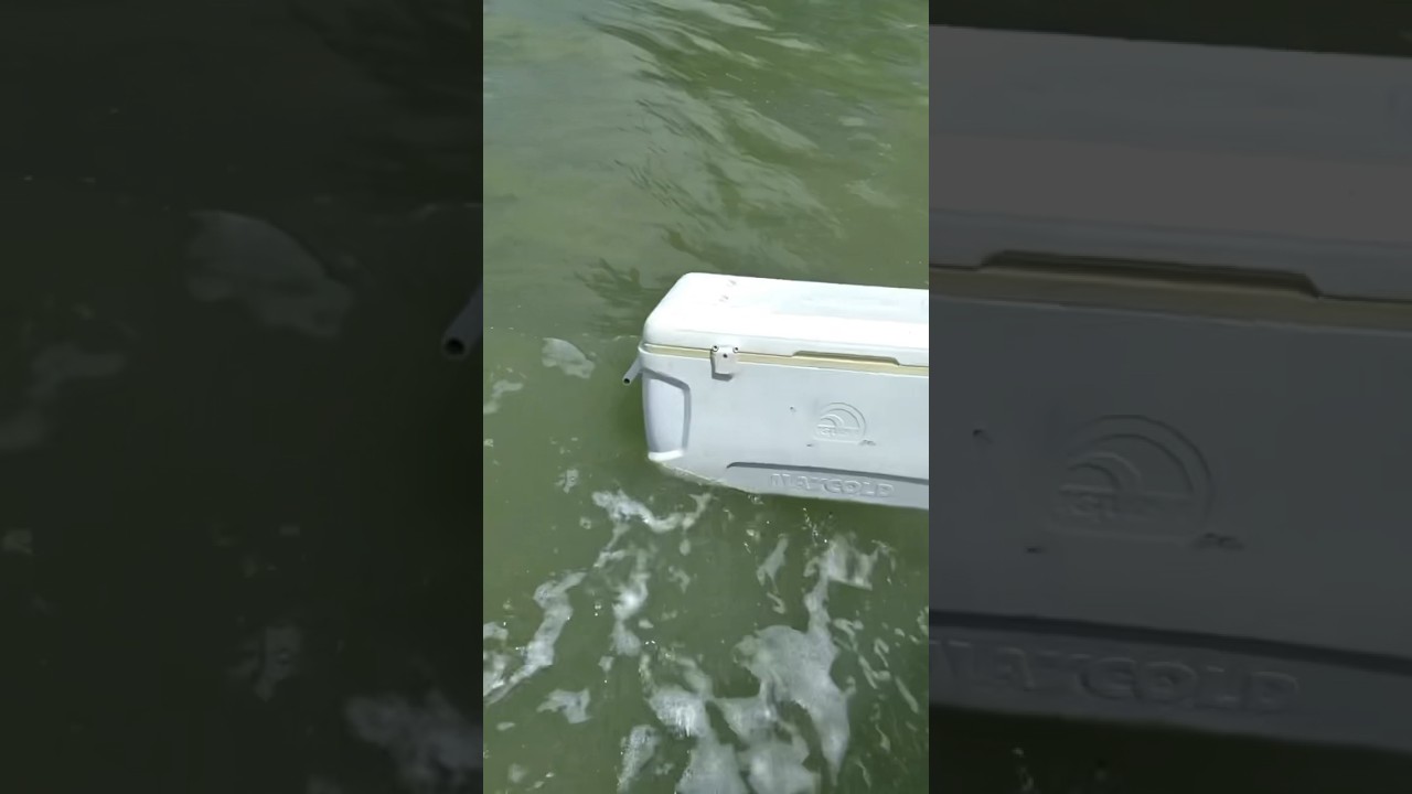 These FISHERMEN find a FLOATING TREASURE CHEST! BEST CATCH OF THE YEAR ...