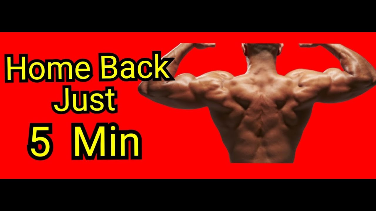 Home Back Workout Exercise | No Equipment | No Gym | Easy Step At Home ...