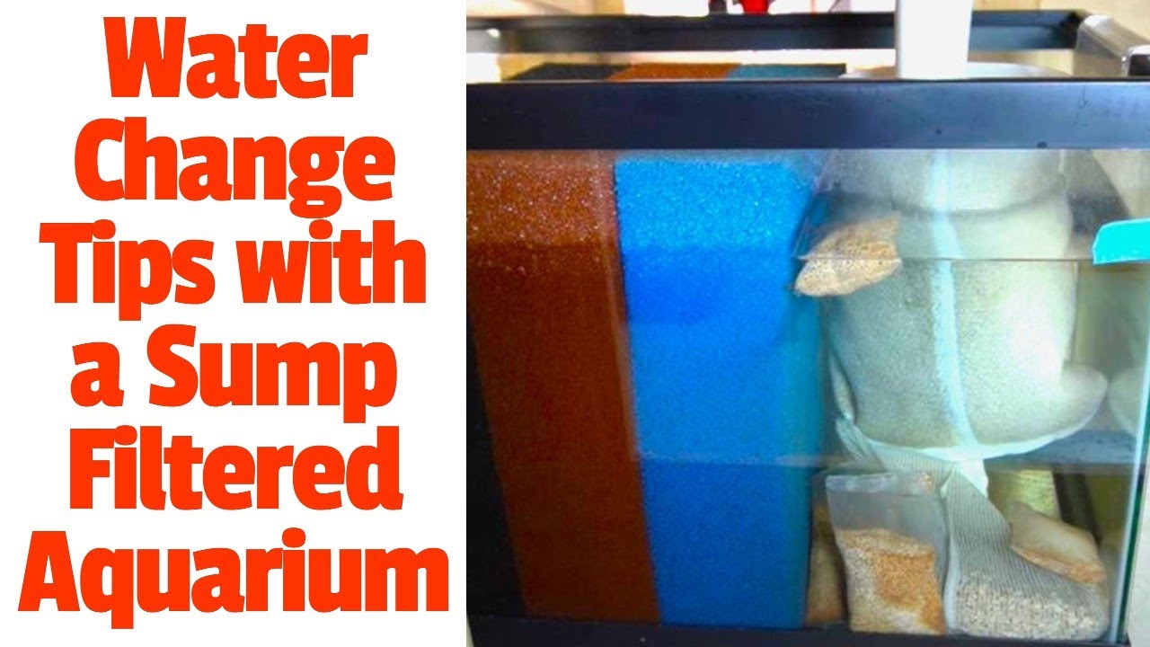 My Water Change Routine on a 300 Gallon Sump/Canister Filtered Tank ...