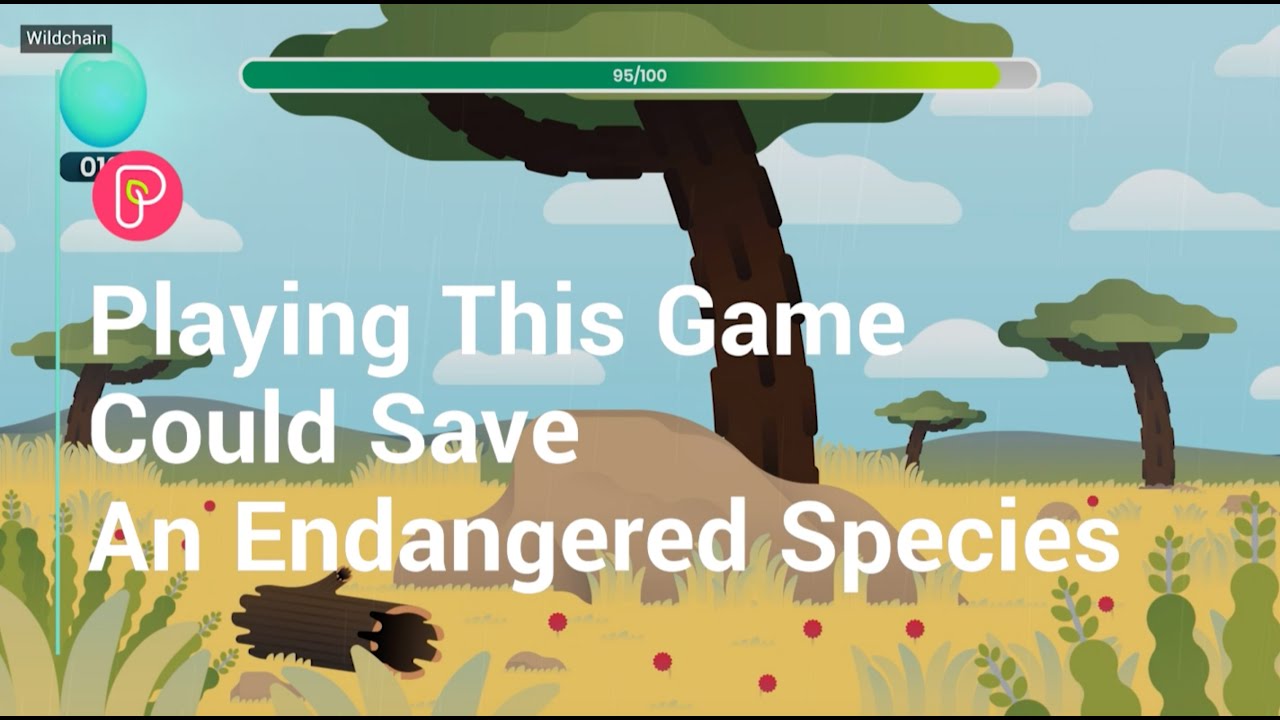 Play a game, save an endangered species - YouTube