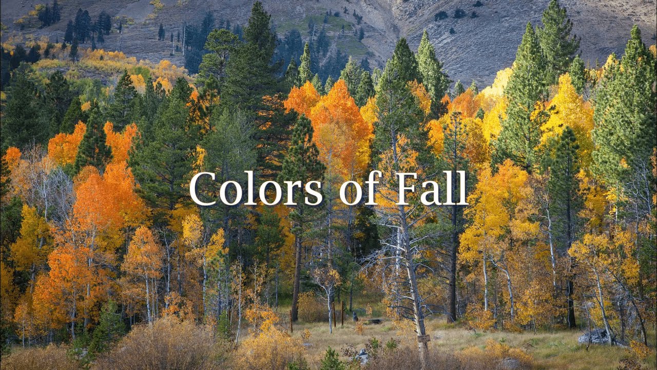 Colors of Fall | Vibrant Colors in the Northern California Sierras ...