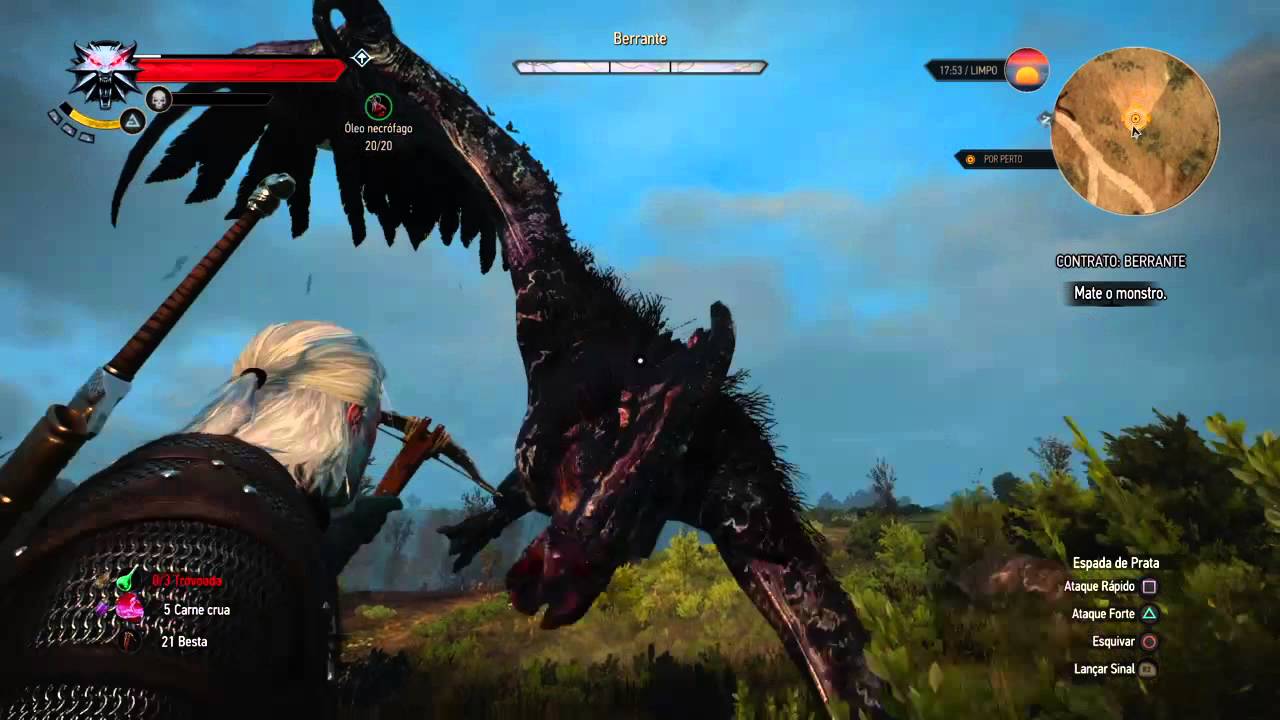 The Witcher 3: Wild Hunt - Boss Fight - Berrante - YouTube