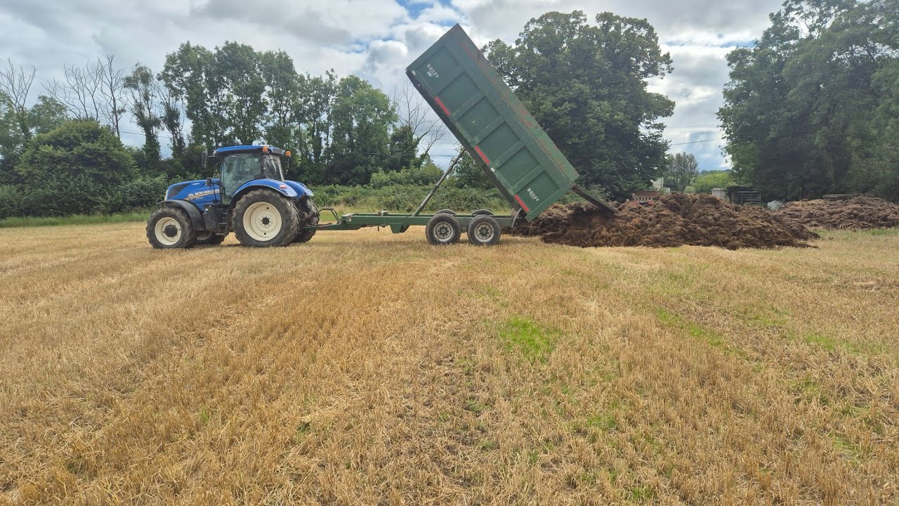 day 20. Spraying, cleaning out cattle shed and new theme song 🎵 - YouTube