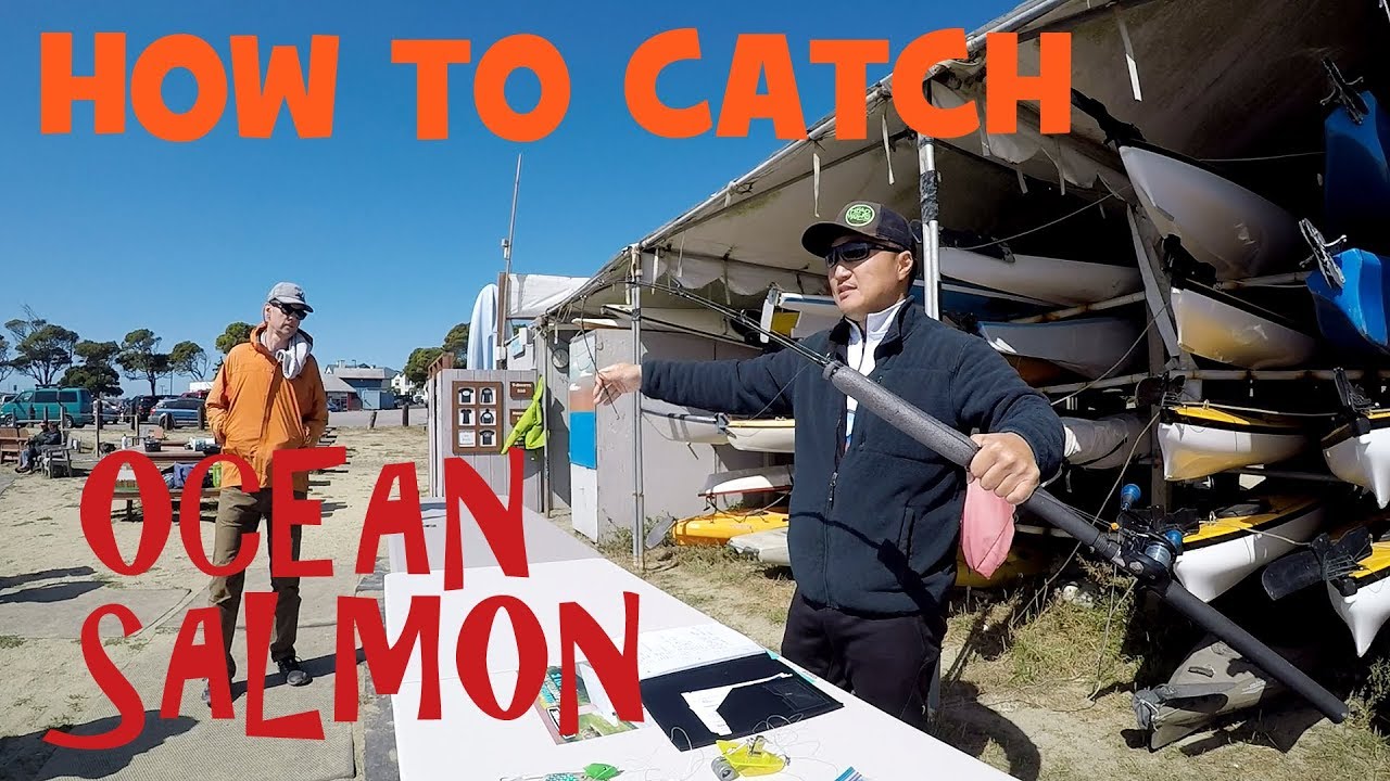 How to Catch Ocean Salmon from a Kayak - YouTube