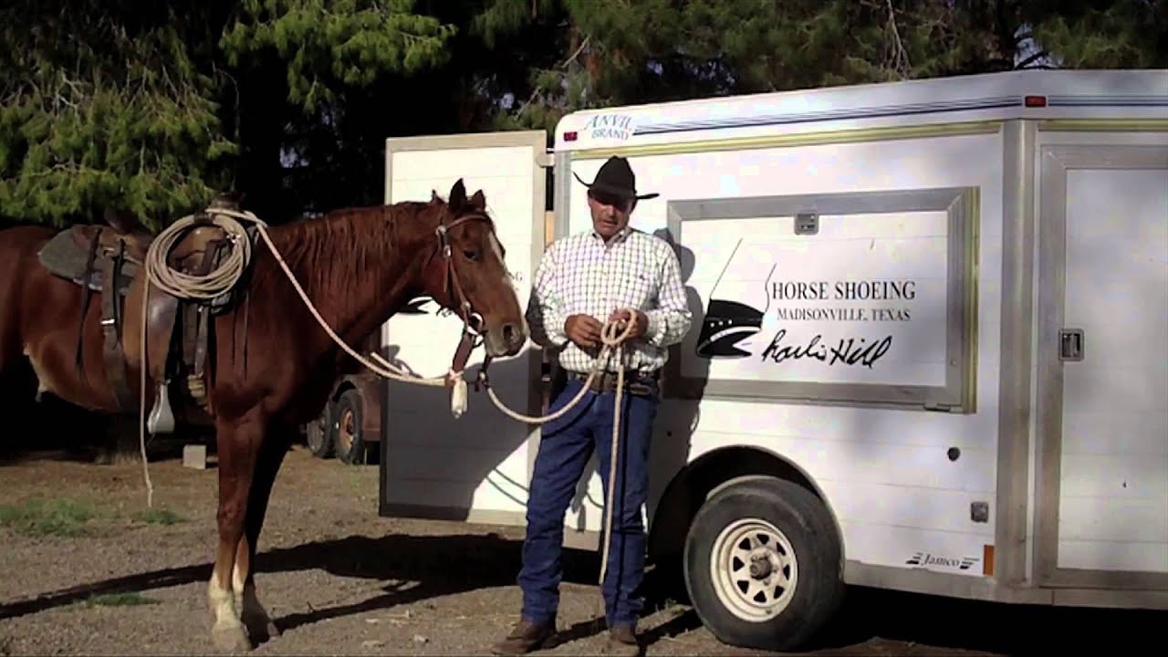 Charlie Hill on Greg Kersten October 2012 - YouTube