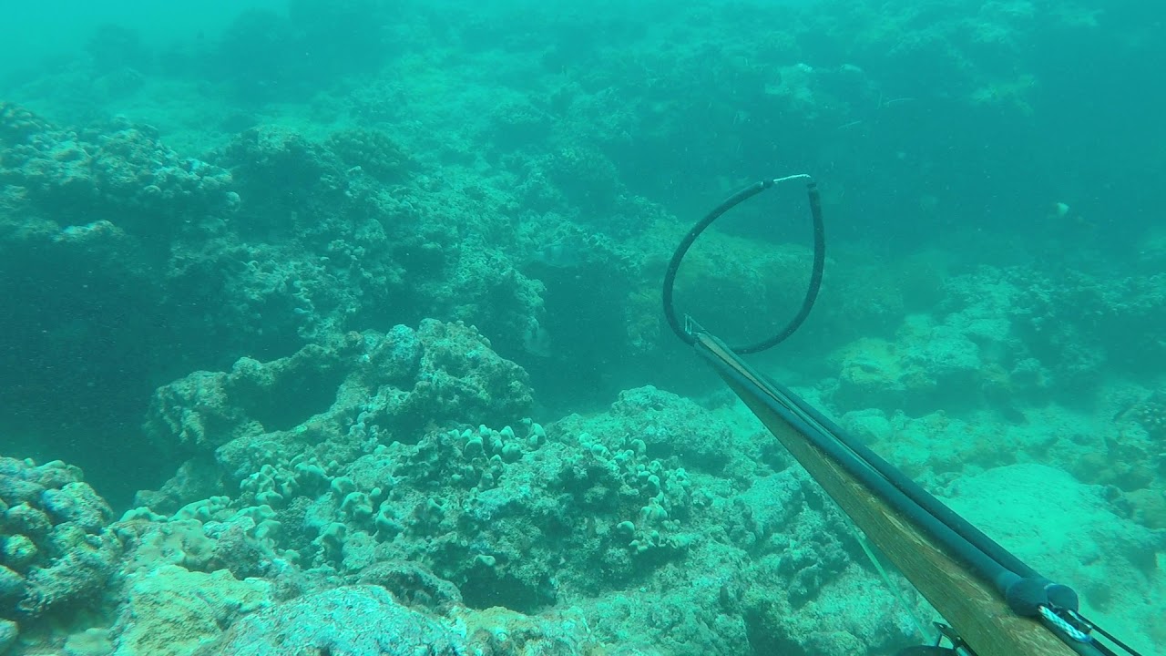 Oahu Spearfishing March - April 2017 | Ep. 5 - YouTube