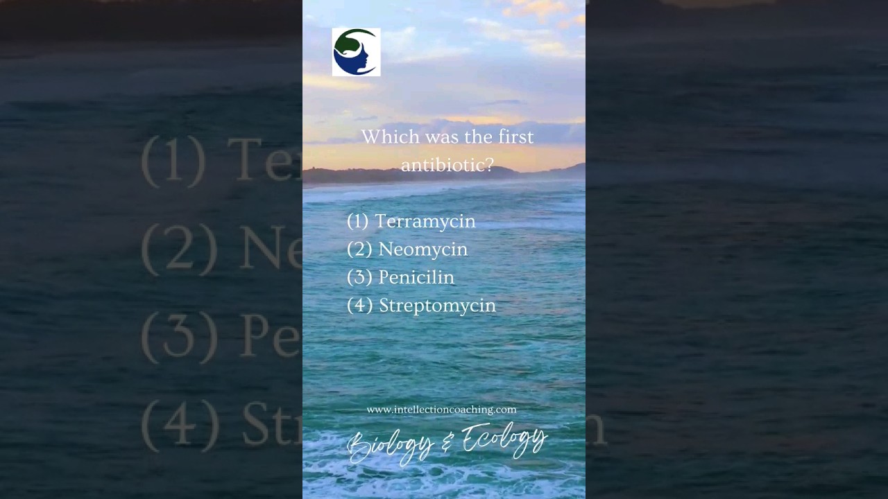 Penicillin: The Revolutionary Discovery - The First Antibiotic in ...