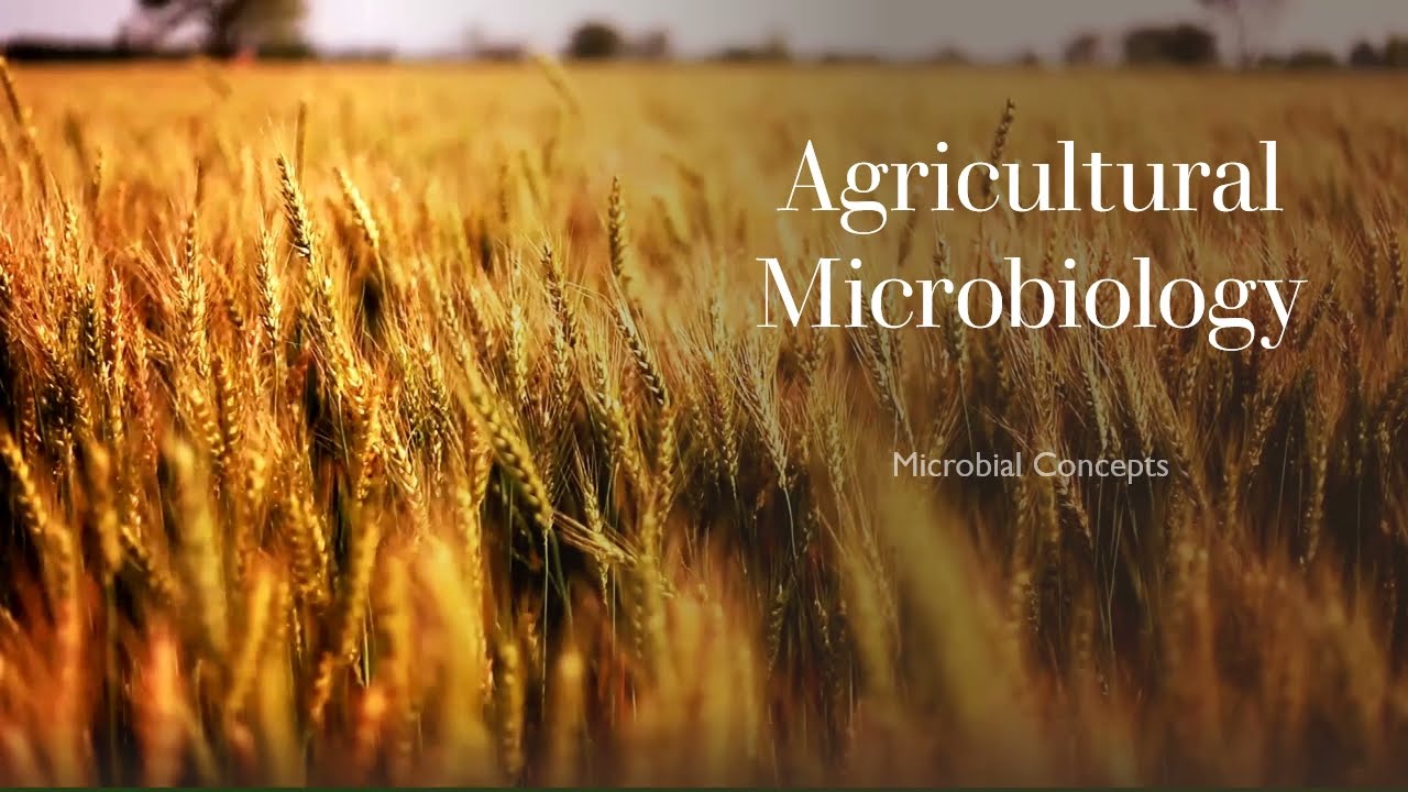 Agricultural microbiology | brief video | Microbiology - YouTube
