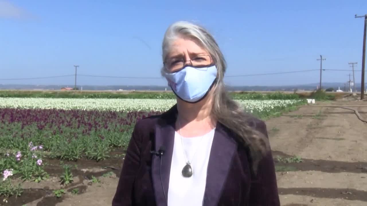 Interview with Lompoc mayoral candidate Jenelle Osborne - YouTube