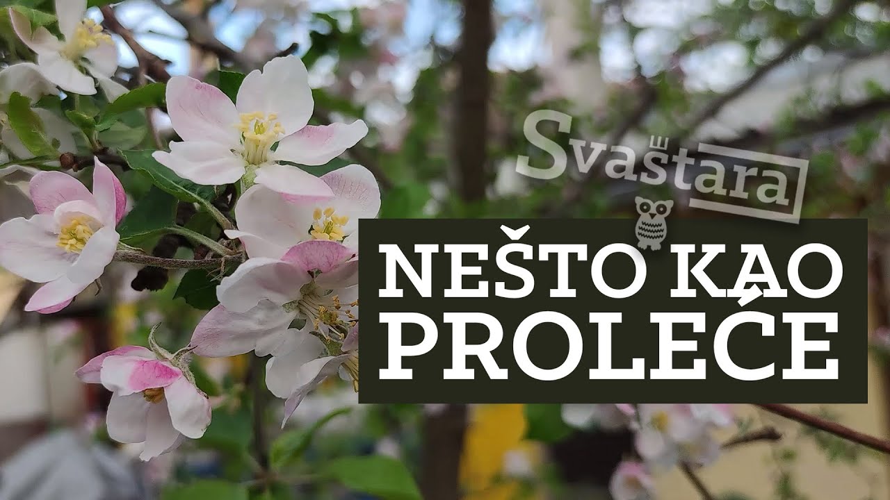 NEŠTO KAO PROLEĆE - YouTube