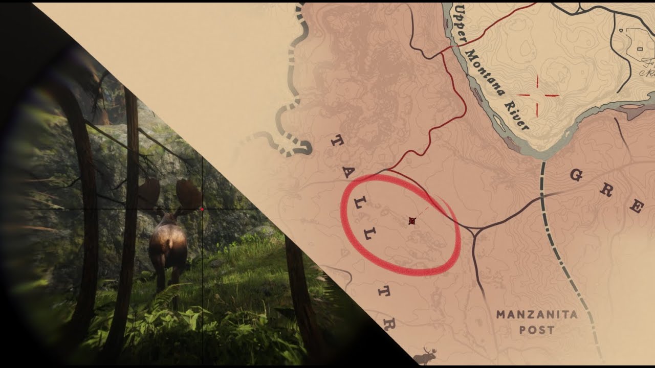 Western Bull Moose spawn location Red dead redemption 2 (2021) - YouTube