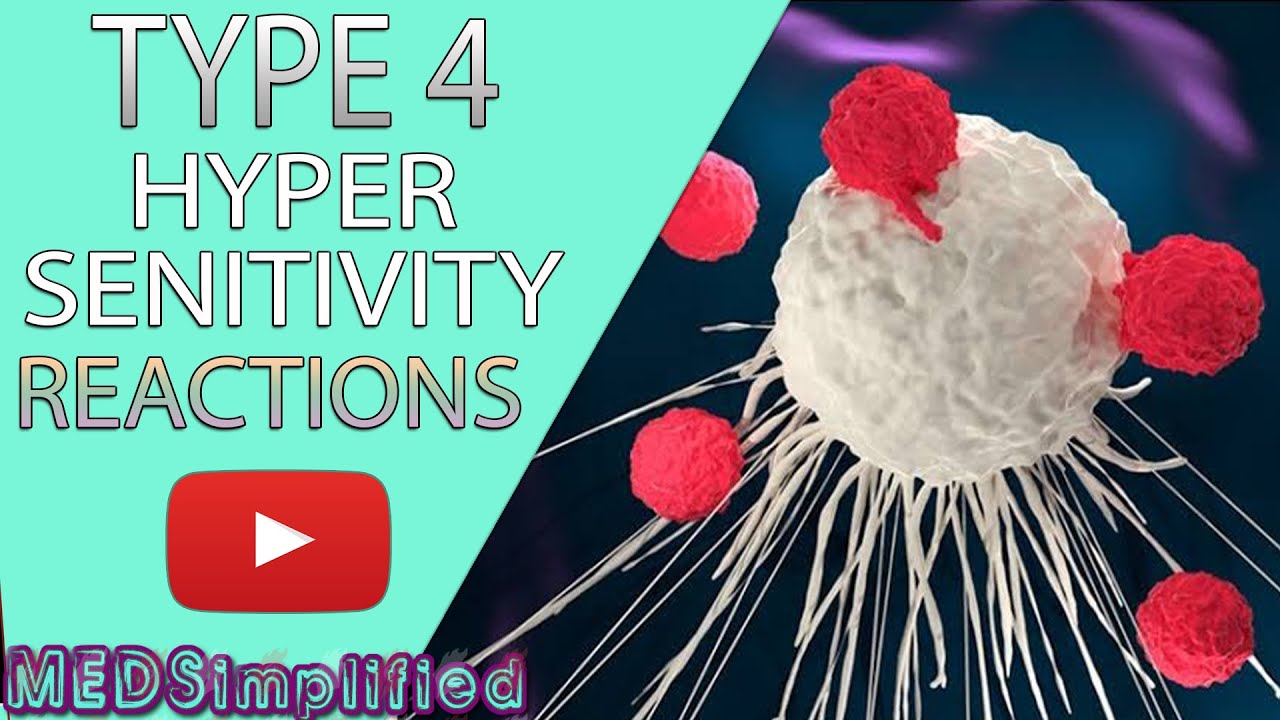 Type 4 Hypersensitivity Made Easy - YouTube