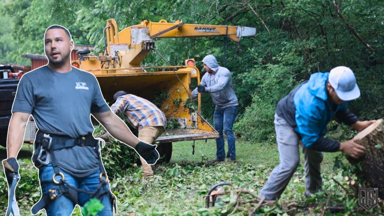 A Serious Talk with the Crew | Grading Job Recovery & Tree Fellings ...