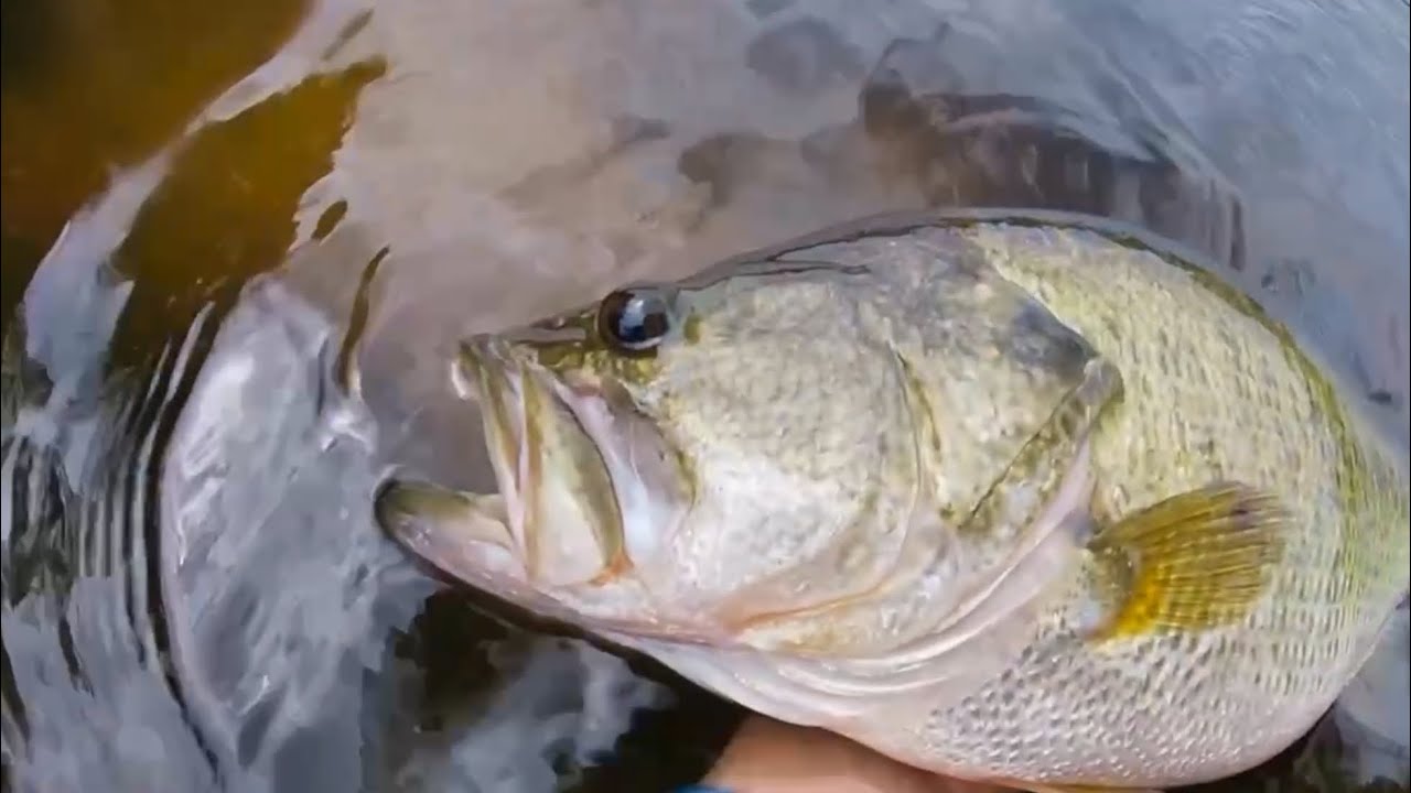 Crazy Fishing During Tropical Storm - YouTube