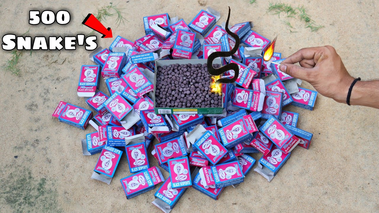 आप देख कर चौक जाएंगे जब 500 Snake Bombs (साँप की गोलियां) को एकसाथ ...
