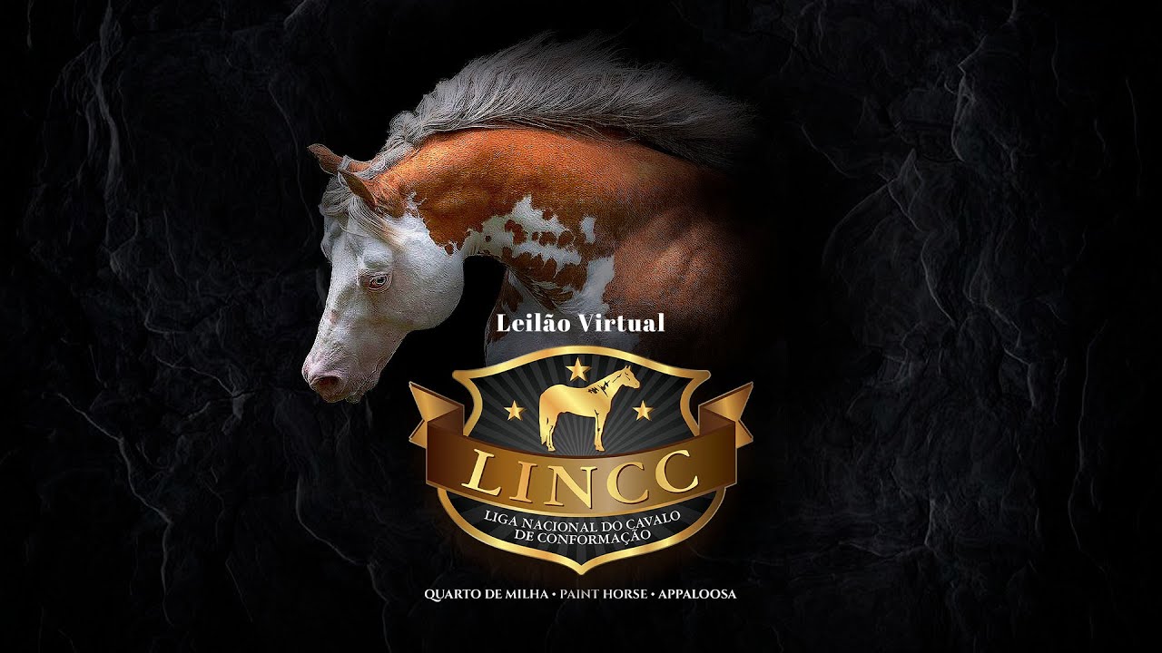 LEILÃO VIRTUAL LINCC - YouTube