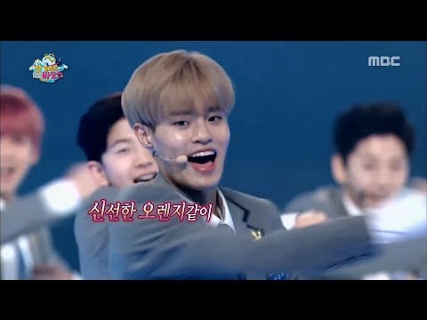 [Infinite Challenge] 무한도전 - haha, Wanna One ?! 20170722