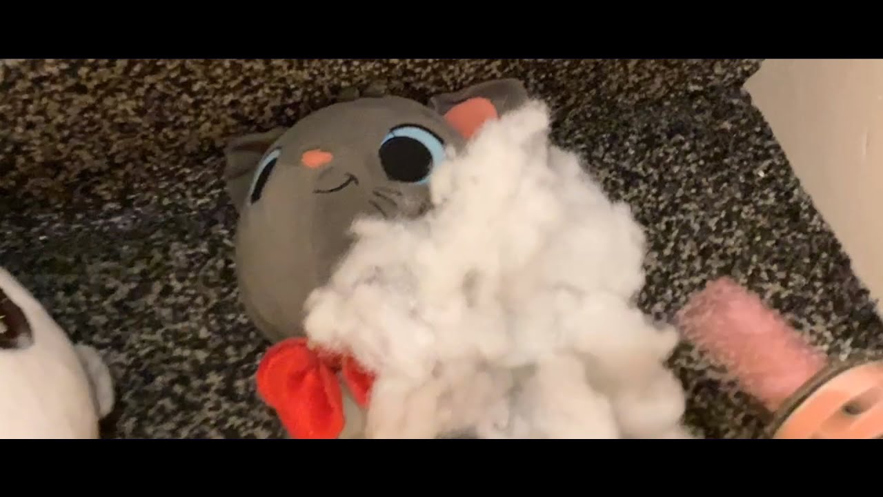 Cow push show season 4 | teaser trailer 30s - YouTube