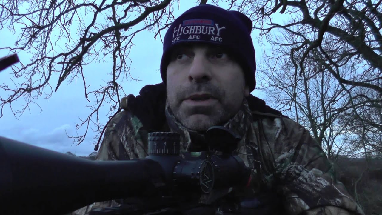 Foxing - First fox of 2015 - YouTube