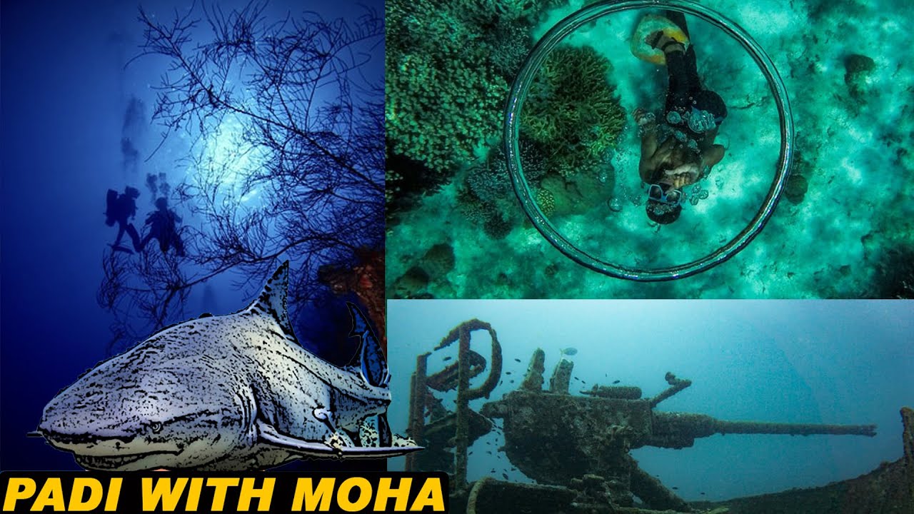 Funny Video - Scuba Divers - Face plants and Fails Compilation - YouTube