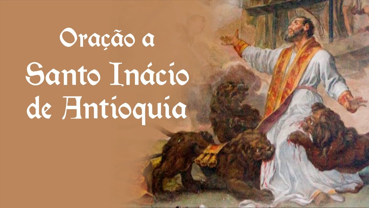 Fava De Santo Inácio - RETOEDU