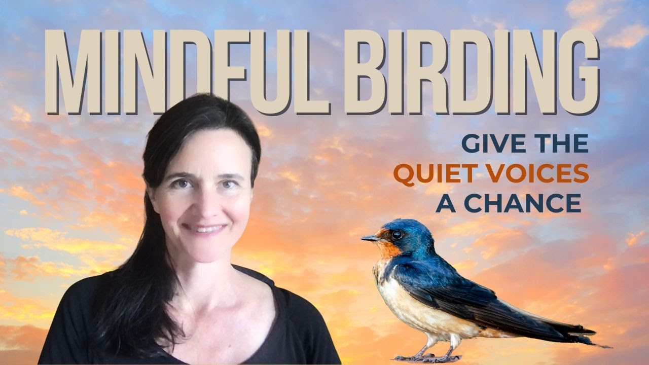 Mindful Birding - SUBTLE MESSAGES - Meditation with Birds 131 #birdsit ...