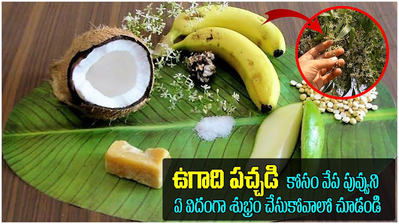 vepa puvvu cleaning | how to clean vepa puvvu | how to clean neem ...