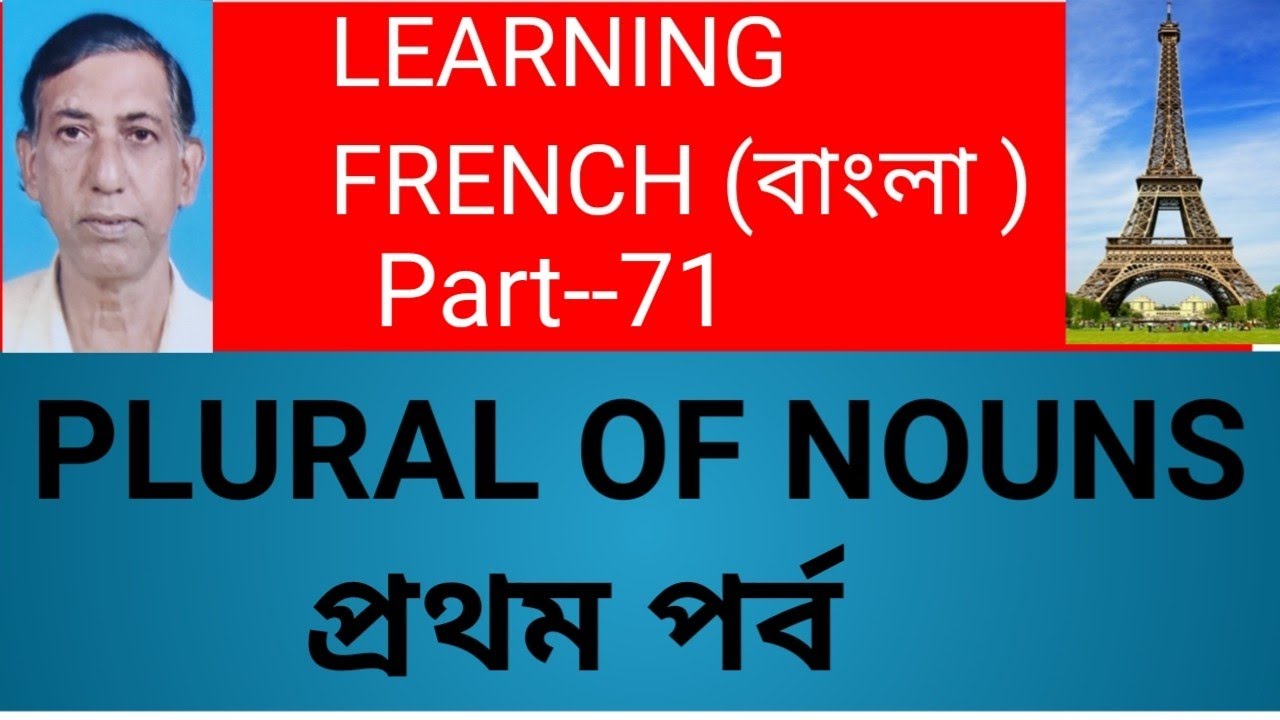PLURAL OF NOUNS (part 1) --LE PLURIEL DES NOMS - YouTube