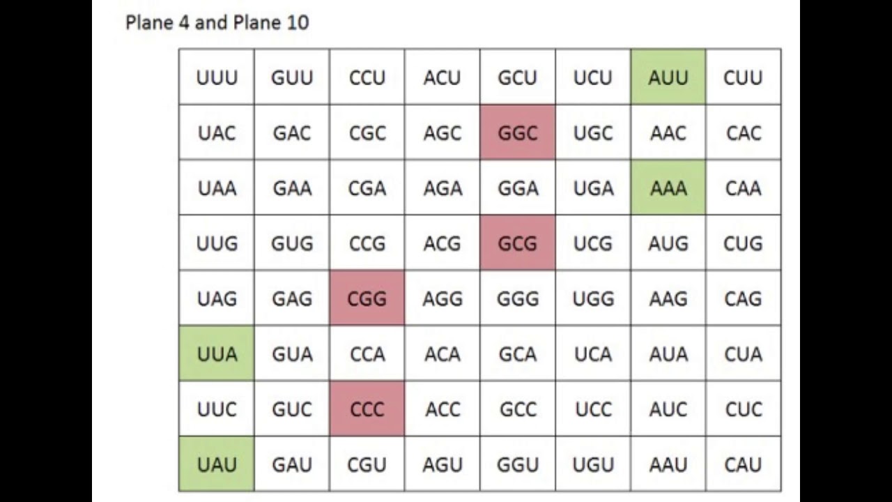 RNA & King Wen Sequence (DNA & I Ching) - YouTube