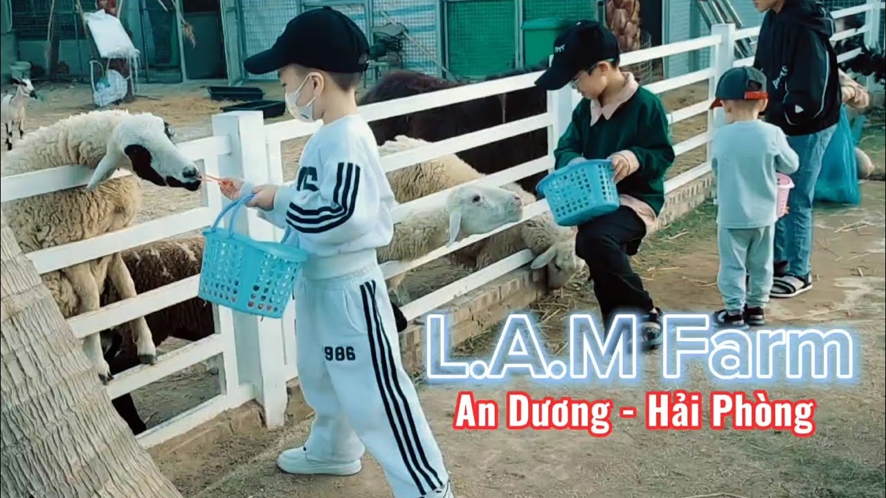 Khu trải nghiệm L.A.M Farm ( An Dương - Hải Phòng ) - YouTube