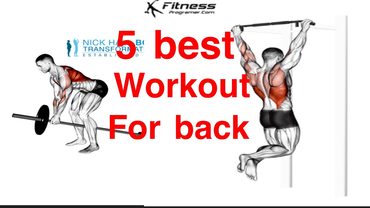 5 best workout for the back //animation workout - YouTube