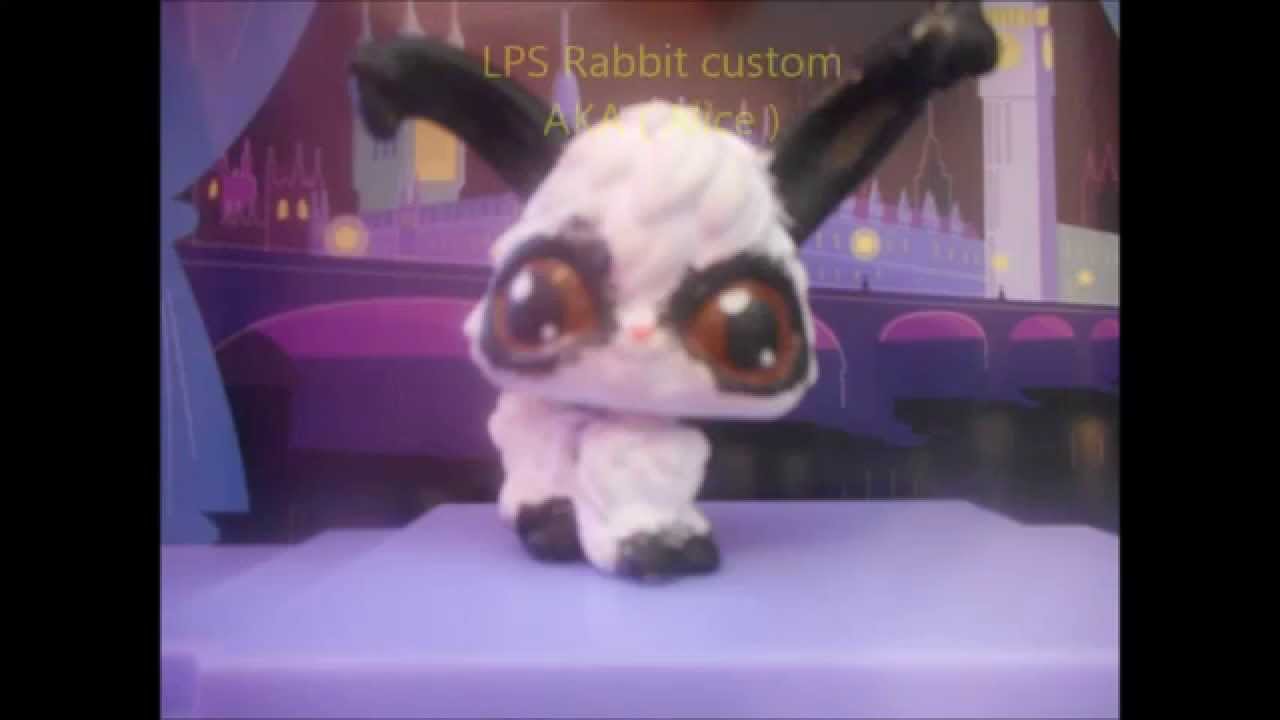 All my LPS customs - YouTube