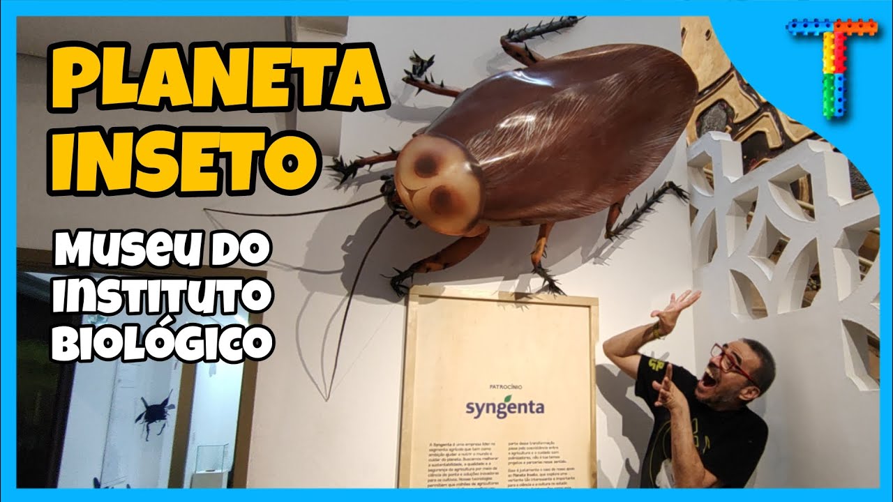 Conheça o Planeta Inseto do Museu do Instituto Biológico em São Paulo ...